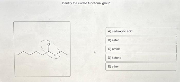 Solved Identify the circled functional group. | Chegg.com