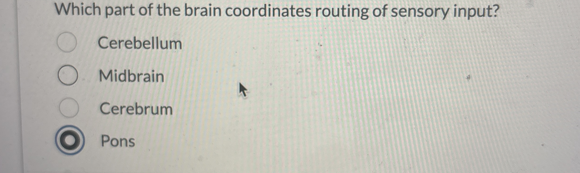 Solved Which part of the brain coordinates routing of | Chegg.com