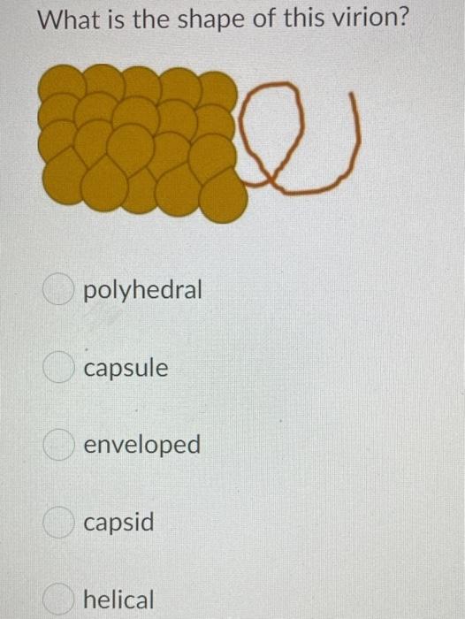 Solved What is the shape of this virion? polyhedral capsule | Chegg.com
