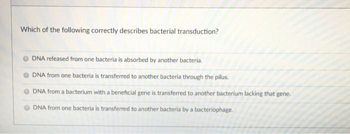 Solved Which of the following correctly describes bacterial | Chegg.com