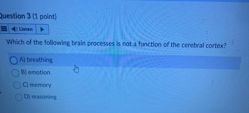 Solved Question 3 (1 ﻿point)Which of the following brain | Chegg.com