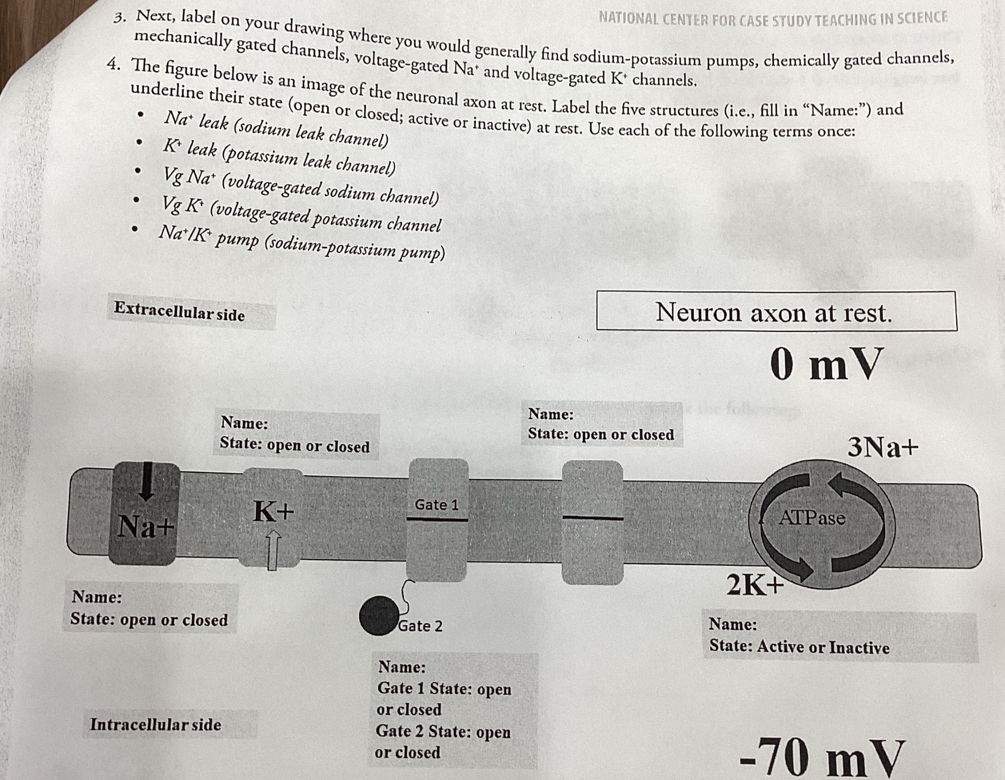 Solved NATIONAL CENTER FOR CASE STUDV TEACHING IN SCIENCE | Chegg.com