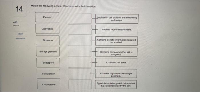 Solved Help Save & EX Subm Match the following bacterial | Chegg.com