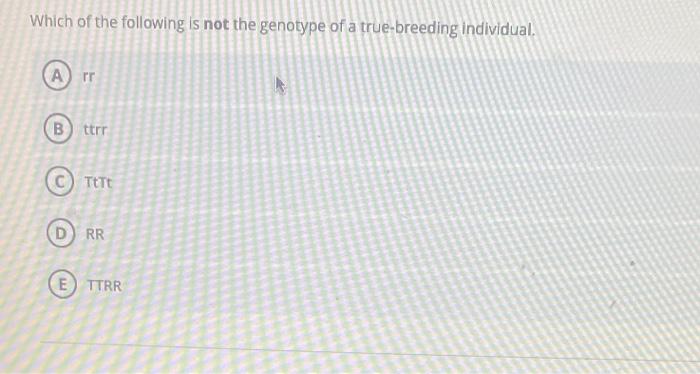 Solved Which of the following is not the genotype of a | Chegg.com