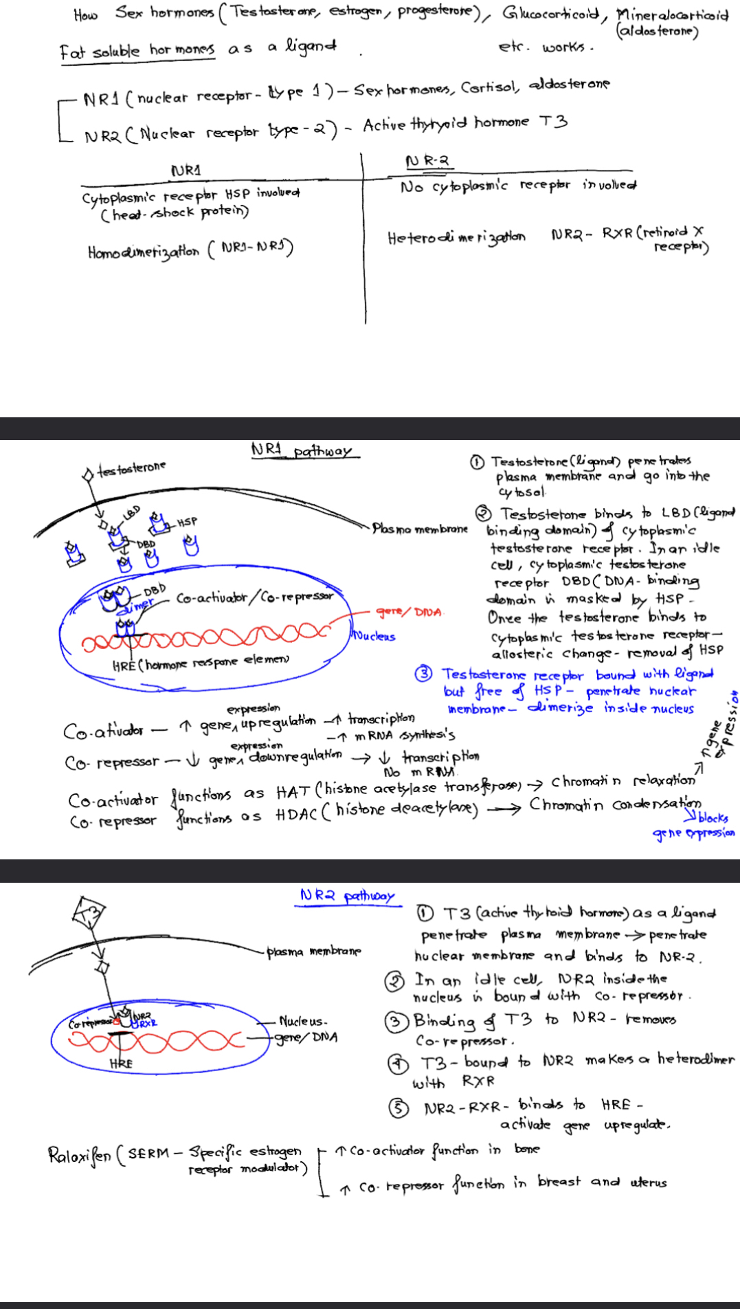 Solved Simplify these slides and please provide more helpful | Chegg.com