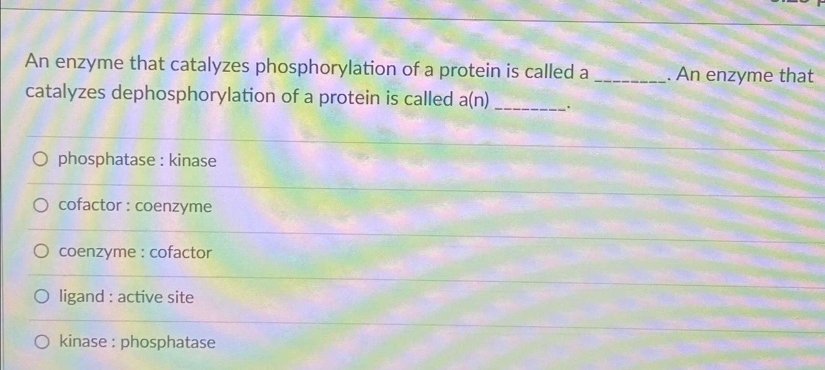 Solved An enzyme that catalyzes phosphorylation of a protein | Chegg.com