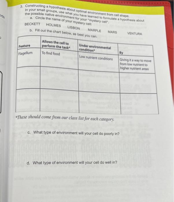 Solved 3. Constructing a hypothesis about optimal | Chegg.com