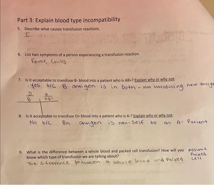 Part 3: Explain blood type incompatibility 5. | Chegg.com