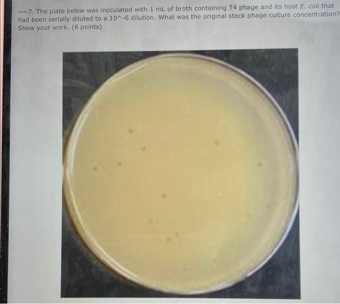 Solved -7. The plate below was inoculated with 1 mL of broth | Chegg.com