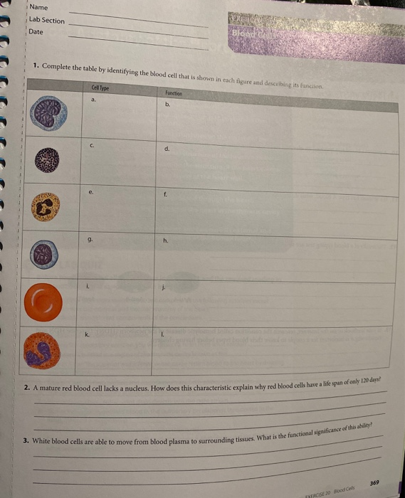 Solved Name Lab Section Date Morgan Cribo . EXERCISE 19 | Chegg.com