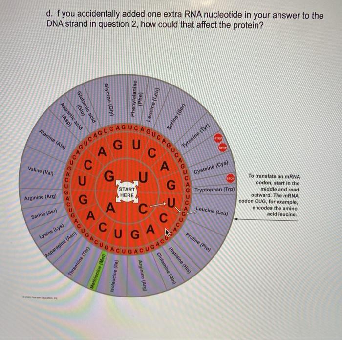 Solved Insert Table Chart Text Shape Media Comment | Chegg.com