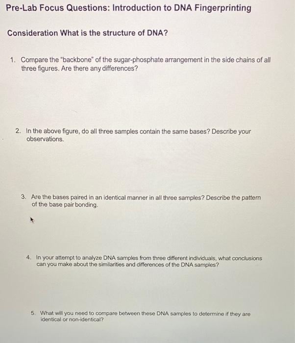 Solved Student Manual Pre-Lab Introduction to DNA | Chegg.com