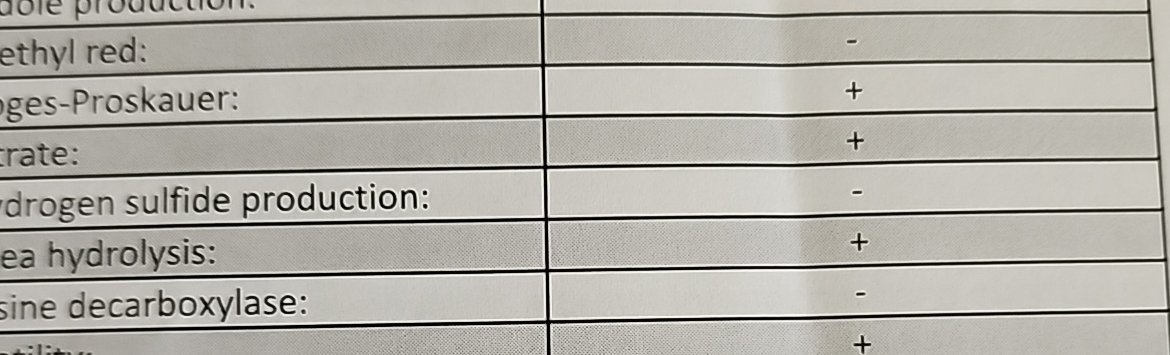 \table[[ethyl | Chegg.com