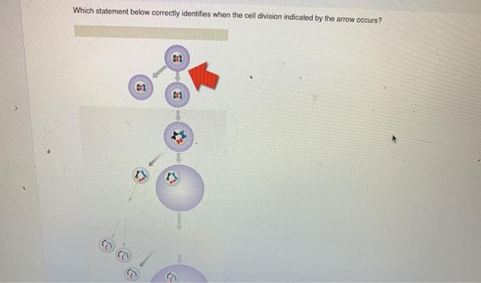 Solved Which statement below correctly identifies when the | Chegg.com