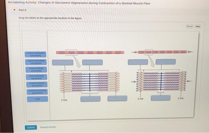 Solved I am so lost , can someone please help :,( I will | Chegg.com