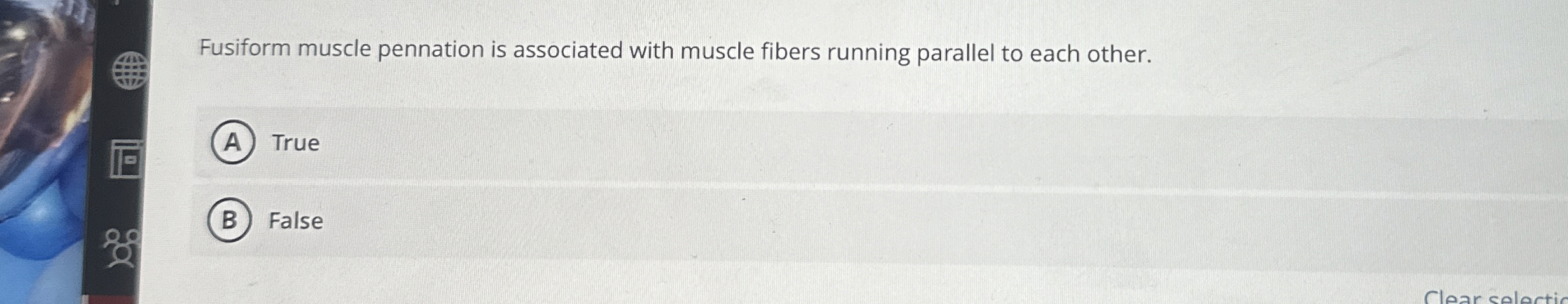 Solved Fusiform muscle pennation is associated with muscle | Chegg.com