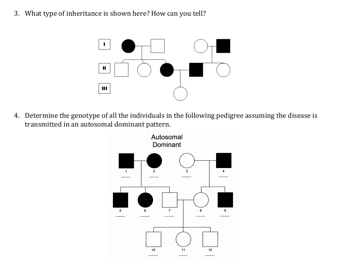 Solved 3. ﻿What type of inheritance is shown here? How can | Chegg.com