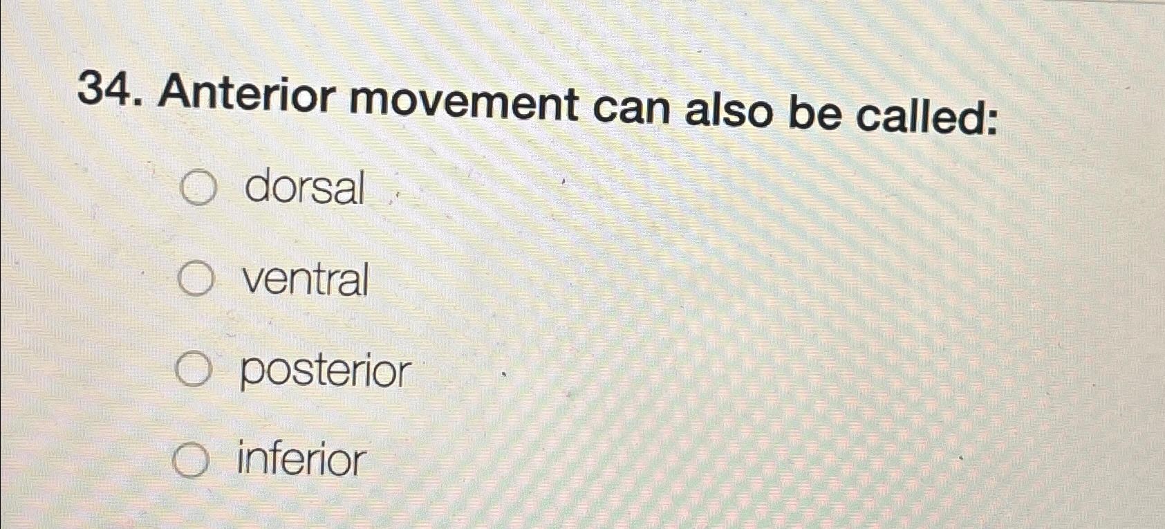Solved Anterior movement can also be | Chegg.com