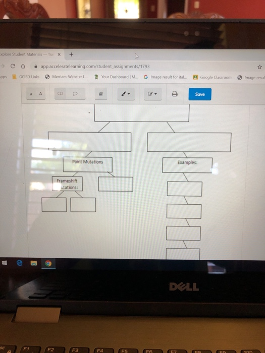 Solved this is a mutations concept map and it has to have | Chegg.com
