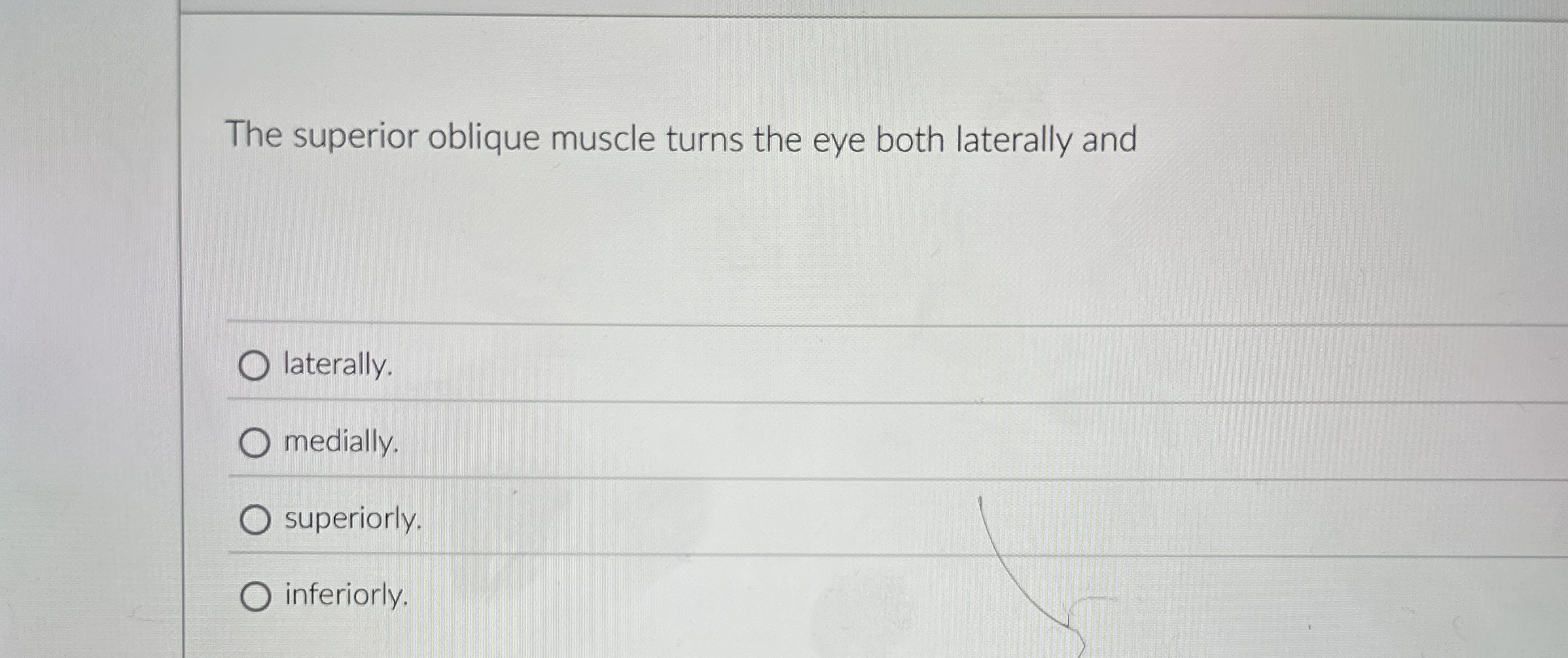 Solved The superior oblique muscle turns the eye both | Chegg.com