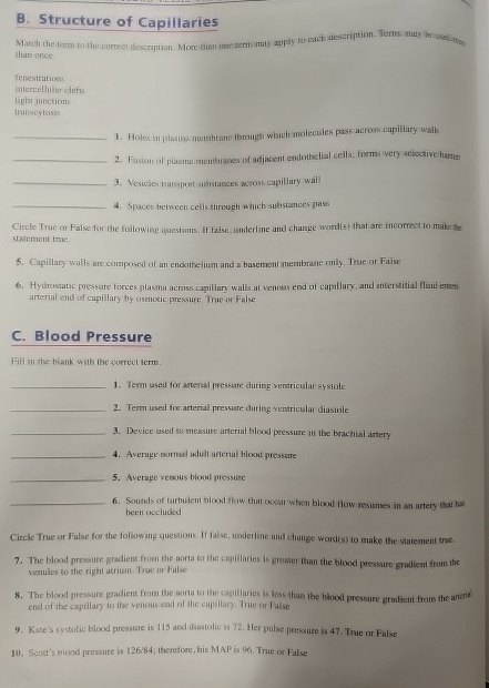 Solved B. ﻿Structure of Capillaries than | Chegg.com