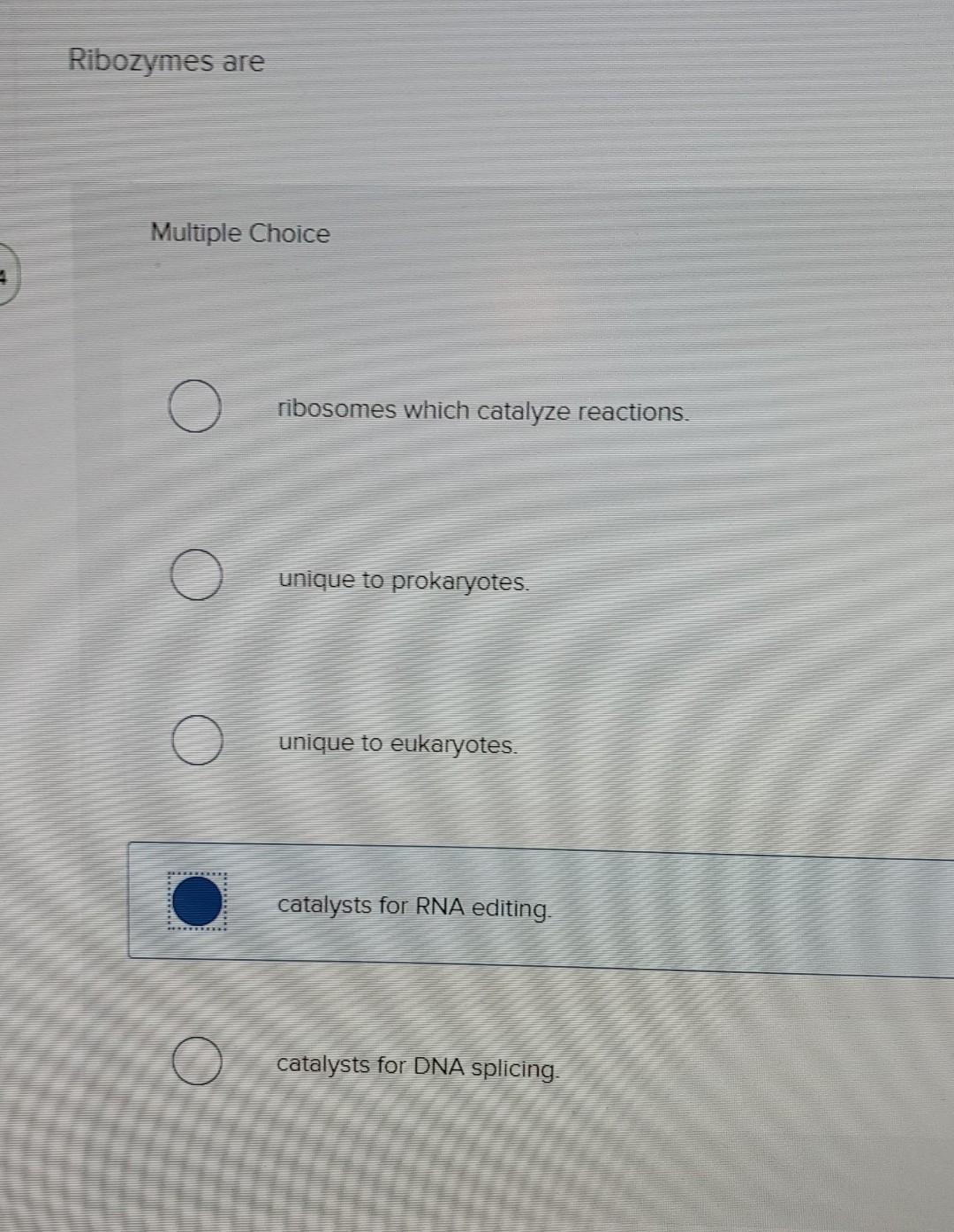 Solved Ribozymes are Multiple Choice ribosomes which | Chegg.com