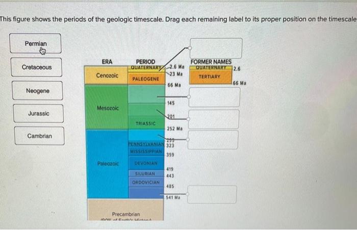 Solved This figure shows the periods of the geologic | Chegg.com