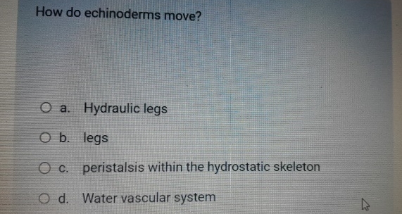 Solved How do echinoderms move?a. ﻿Hydraulic legsb. ﻿legsC. | Chegg.com