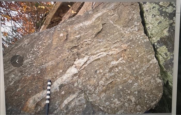 Solved Stop 3: Cliff with various metamorphic rocks What | Chegg.com