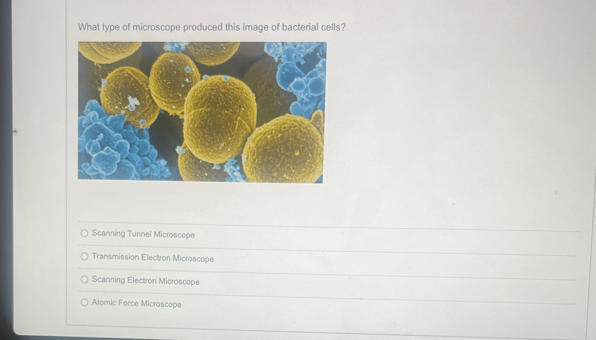 Solved What type of microscope produced this image of | Chegg.com