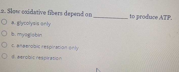 Solved slow oxidative fibers depends on ? ﻿to produce ATP | Chegg.com