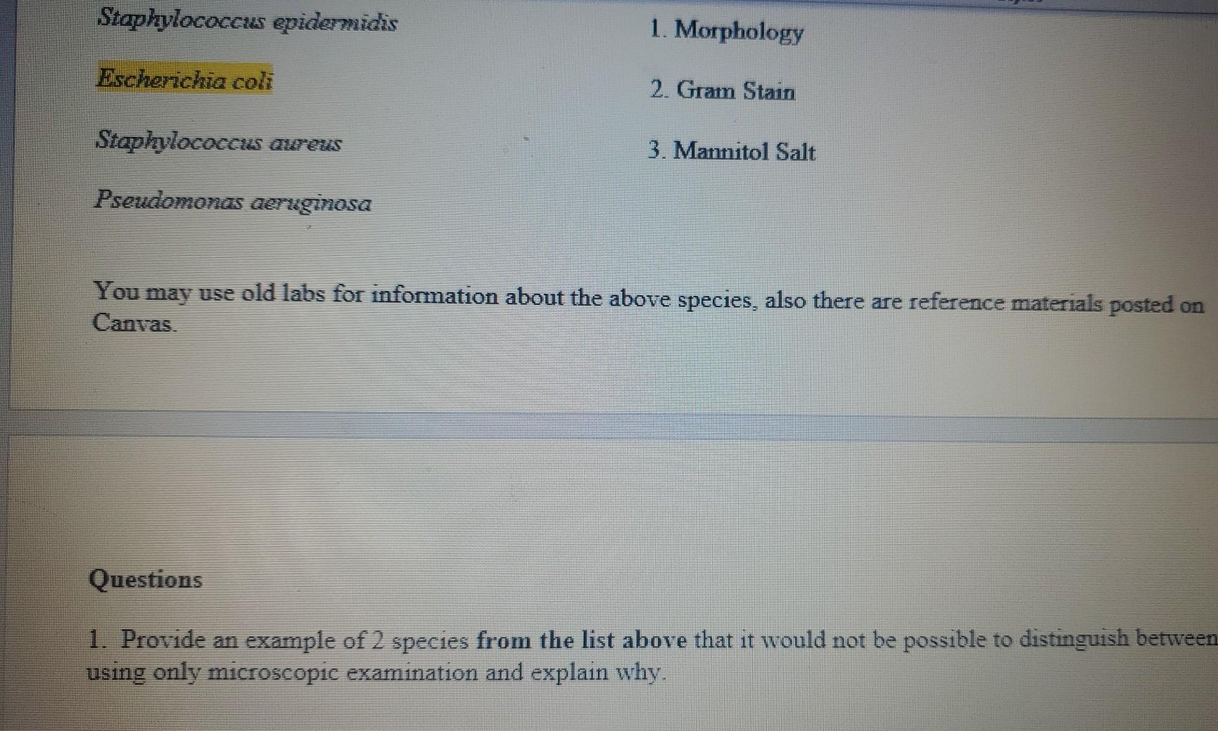 Solved Staphylococcus epidermidis 1. Morphology Escherichia | Chegg.com