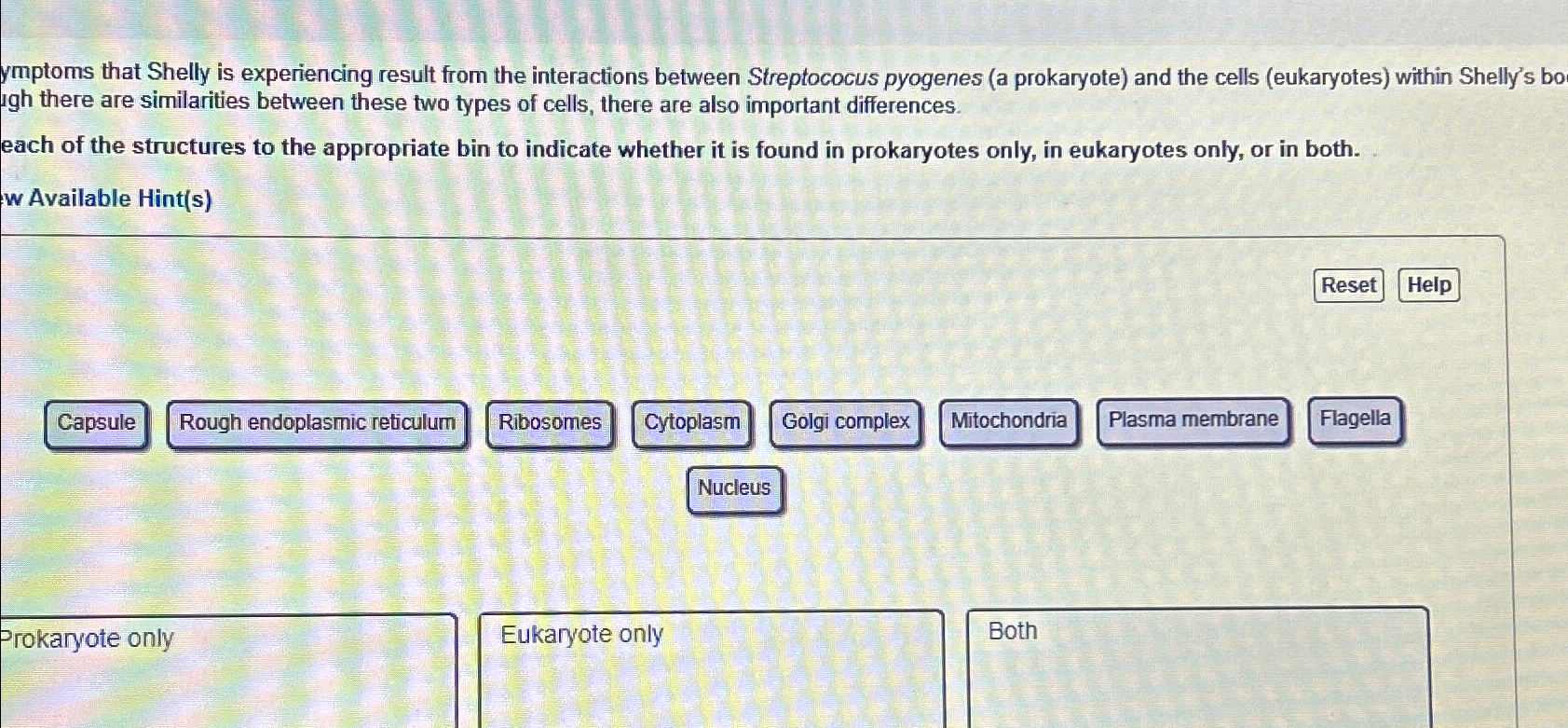 Solved ymptoms that Shelly is experiencing result from the | Chegg.com