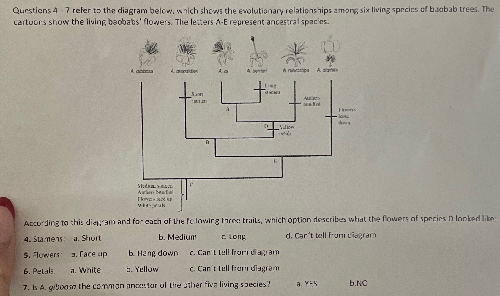 Solved Questions 4 - 7 ﻿refer to the diagram below, which | Chegg.com