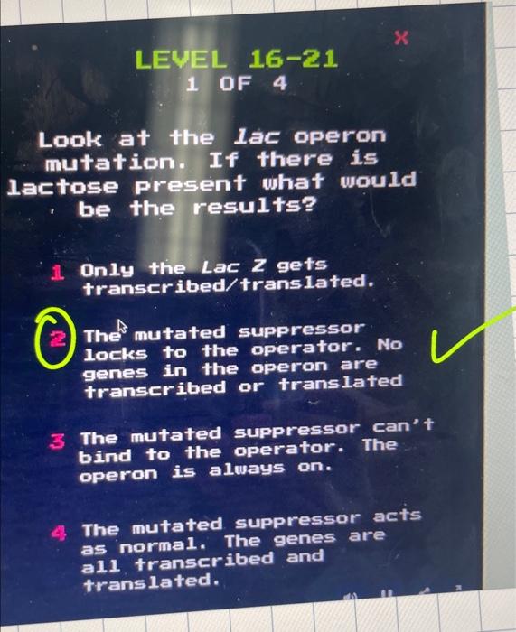 Solved Look at the lac operon mutation. If there is lactose | Chegg.com