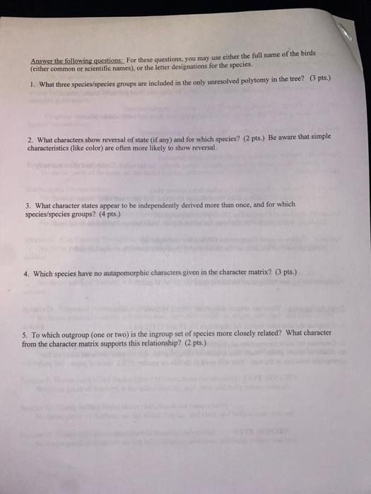 Solved The PHYLOGENETIC TRFE Exercise: Character Matrix The | Chegg.com