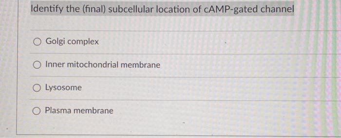 Solved Identify the (final) subcellular location of | Chegg.com