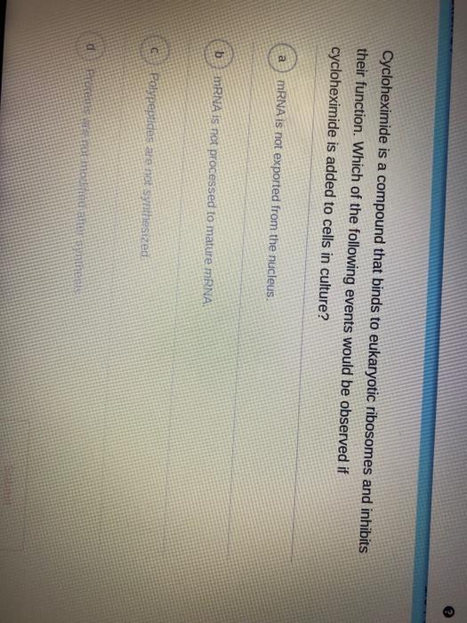 Solved Cycloheximide is a compound that binds to eukaryotic | Chegg.com