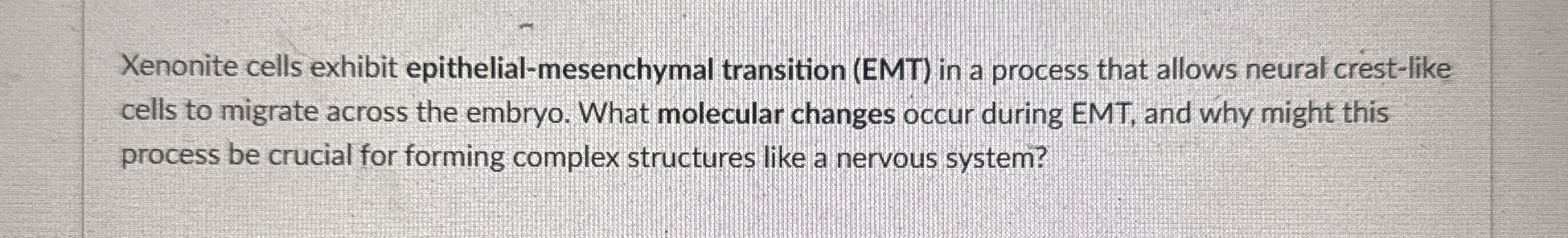 Xenonite cells exhibit epithelial-mesenchymal | Chegg.com