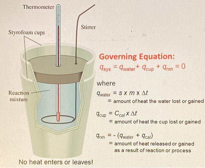 Solved Thermometer Stirrer Styrofoam cups Governing | Chegg.com
