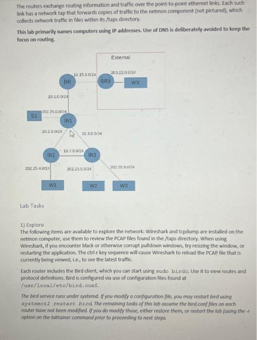 Solved bird-ospf lab instructions and lab report template | Chegg.com