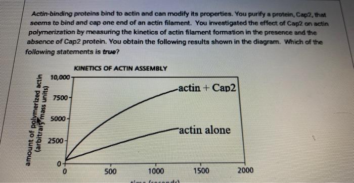 Solved Actin-binding proteins bind to actin and can modify | Chegg.com