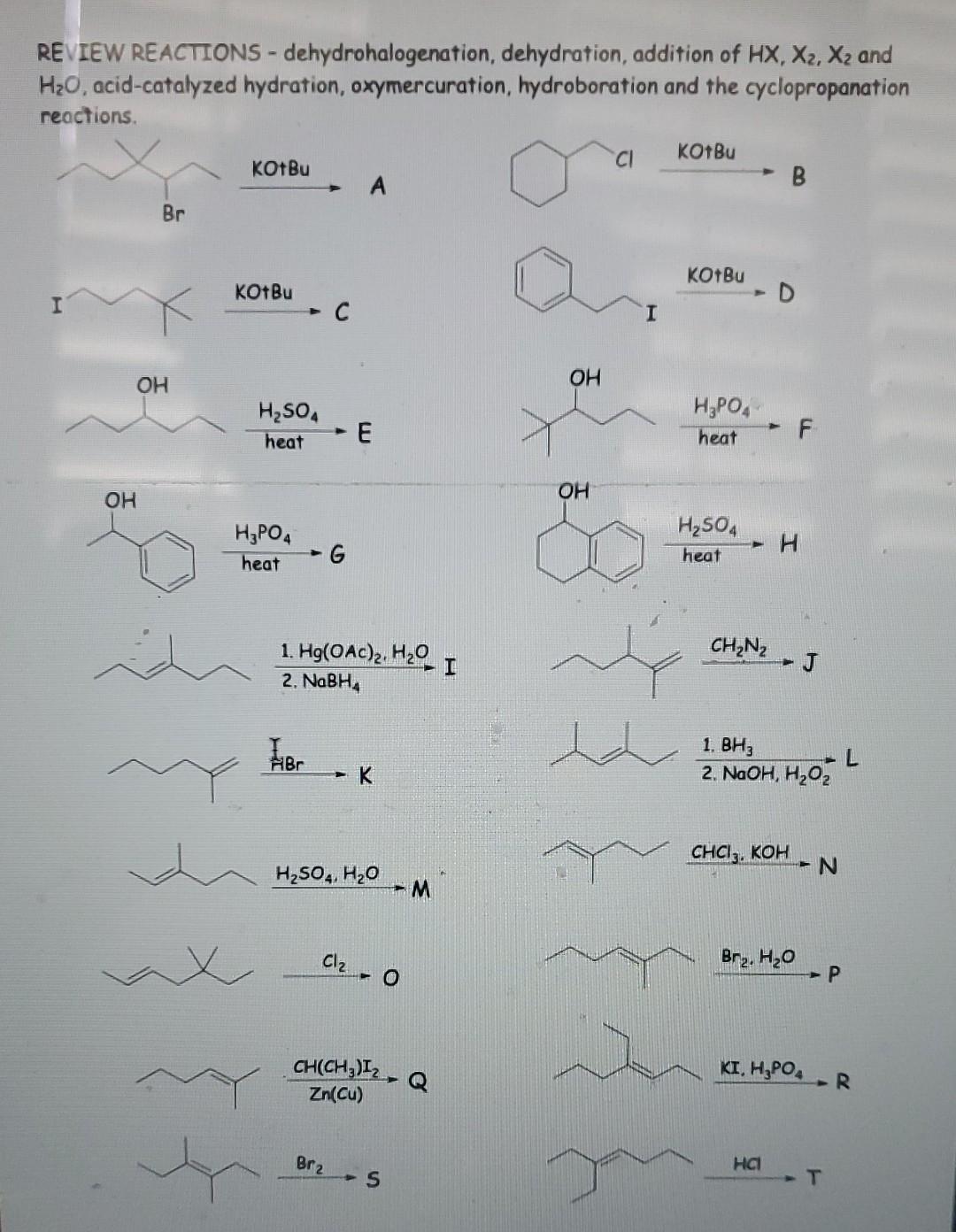 Solved REVIEW REACTIONS - dehydrohalogenation, dehydration, | Chegg.com