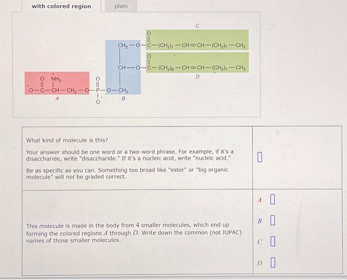 Solved take a look at the following molecule and then answer | Chegg.com