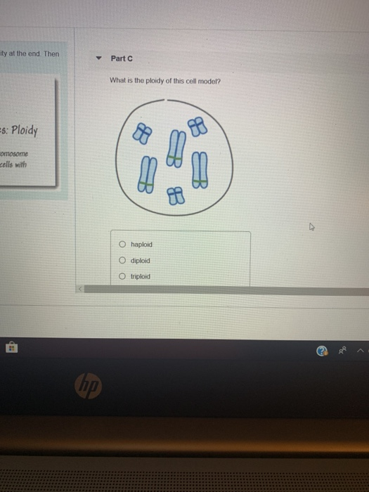 Solved ity at the end. Then Part C What is the ploidy of | Chegg.com
