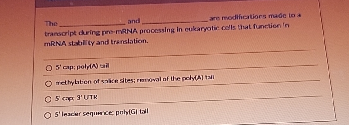 Solved The ﻿and ﻿are modifications made to a transcript | Chegg.com