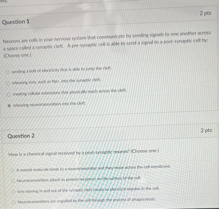 Solved Neurons are cells in your nervous system that | Chegg.com