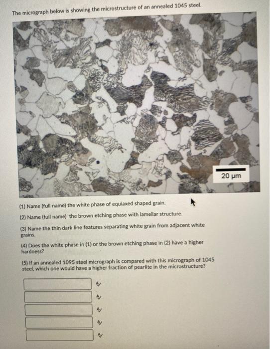 Solved The micrograph below is showing the microstructure of | Chegg.com