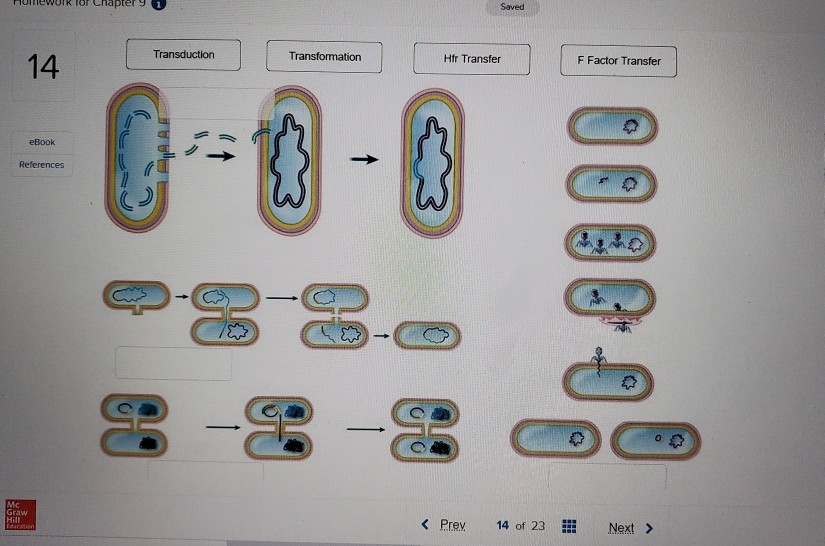 Solved IR Tor Chapter Saved Transduction Transformation Hfr | Chegg.com