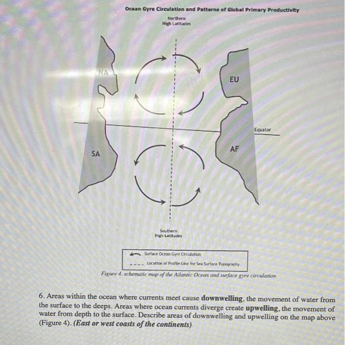 Solved Ocean Gyre Circulation and Patterns of Global Primary | Chegg.com